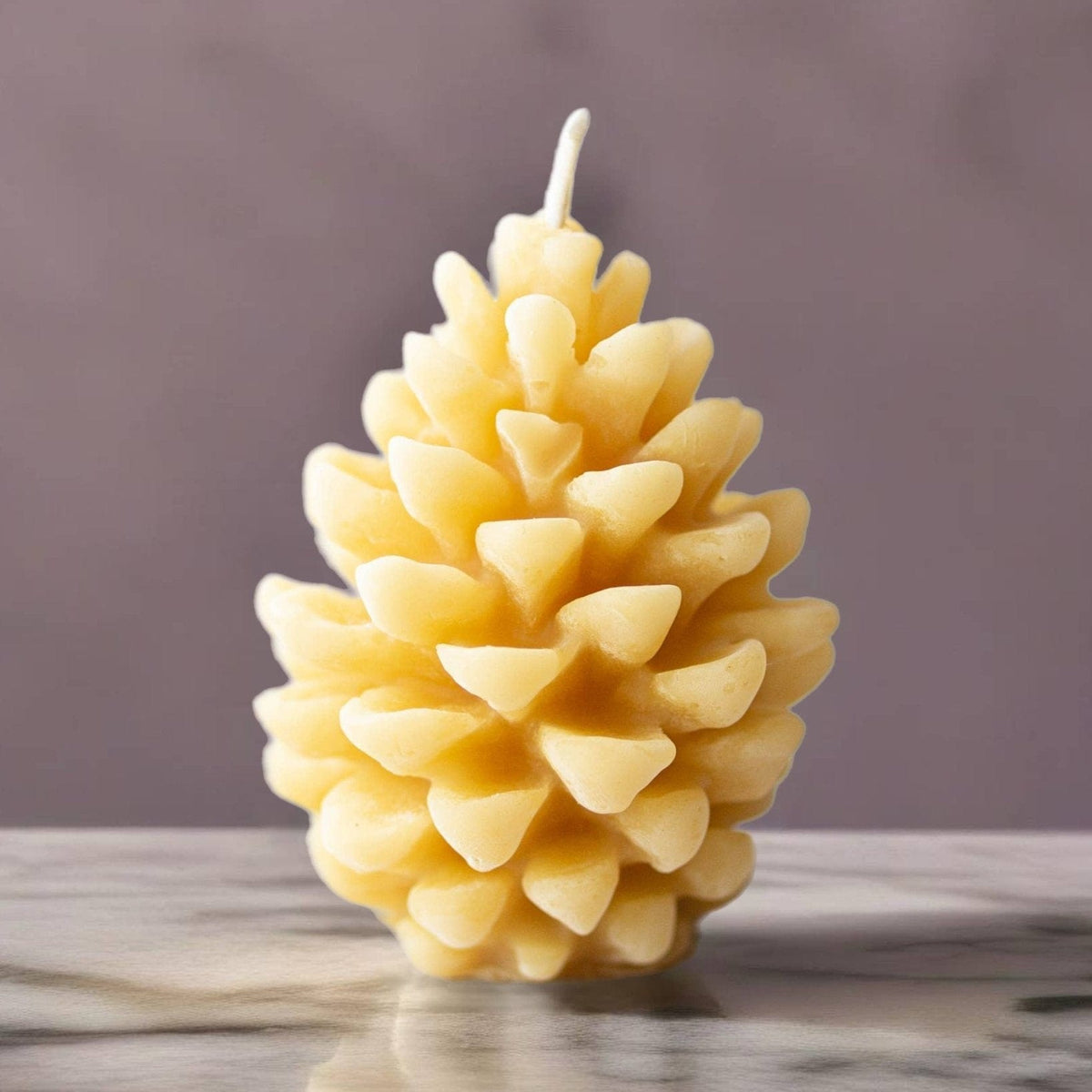 Beeswax Shaped Candle | Pinecone Design – Hamish + Grace